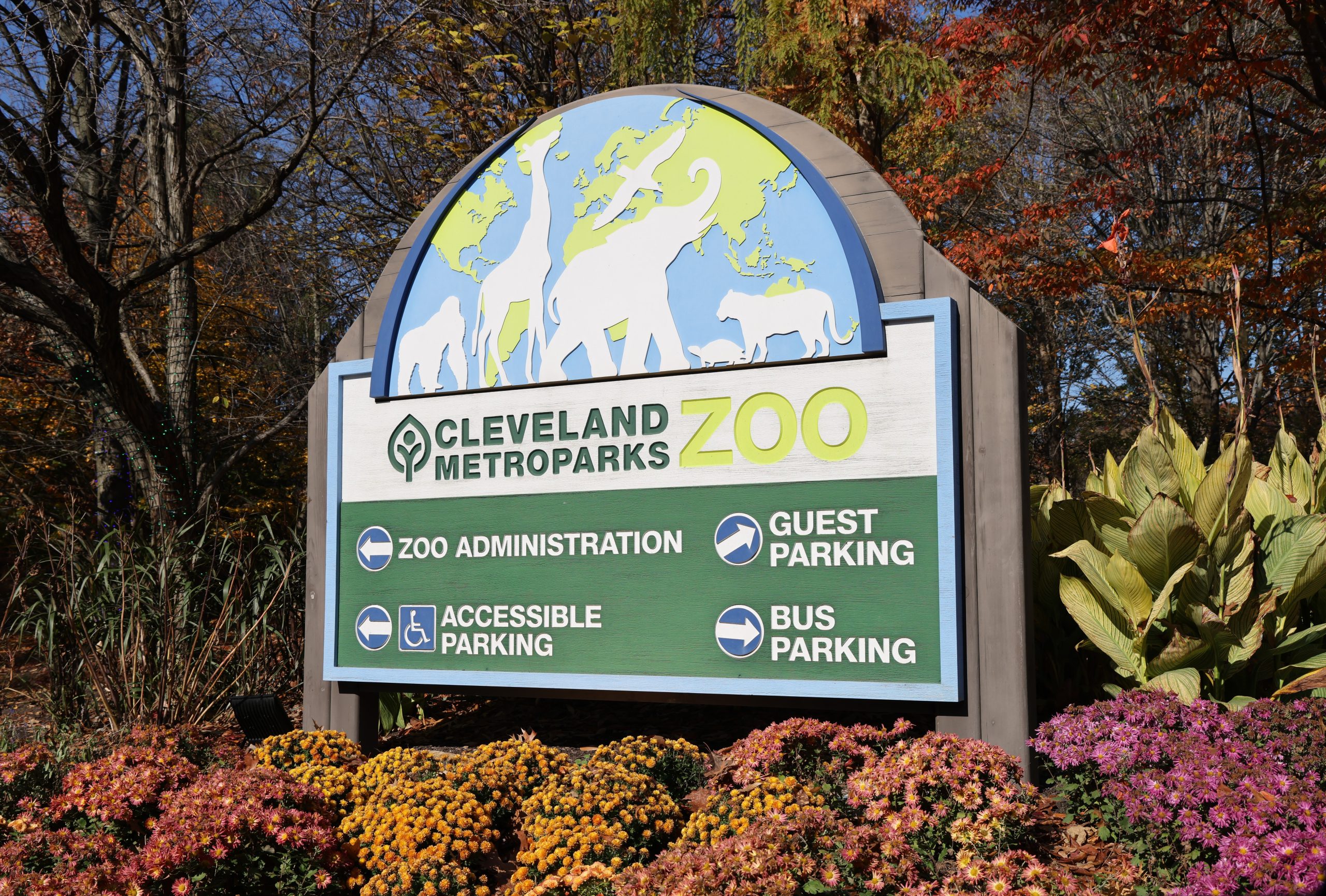 Metroparks zoo plans to relocate seals and sea lions