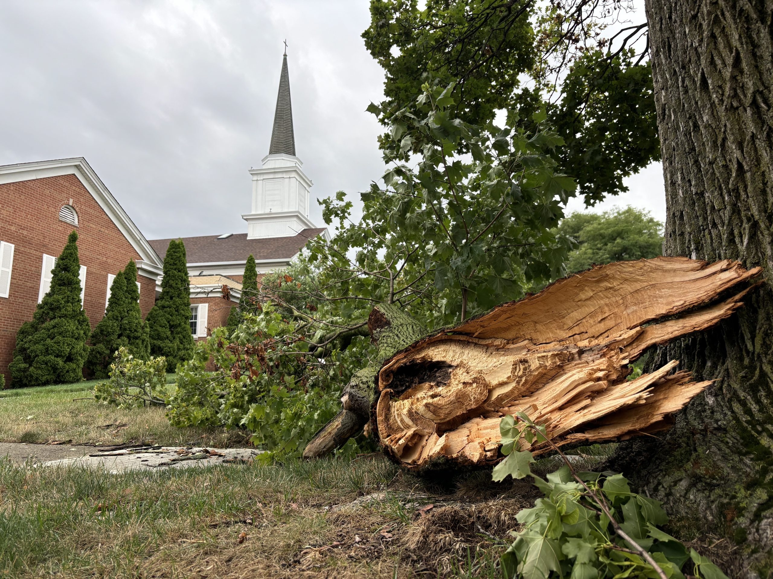 Fill out Cleveland's storm damage survey