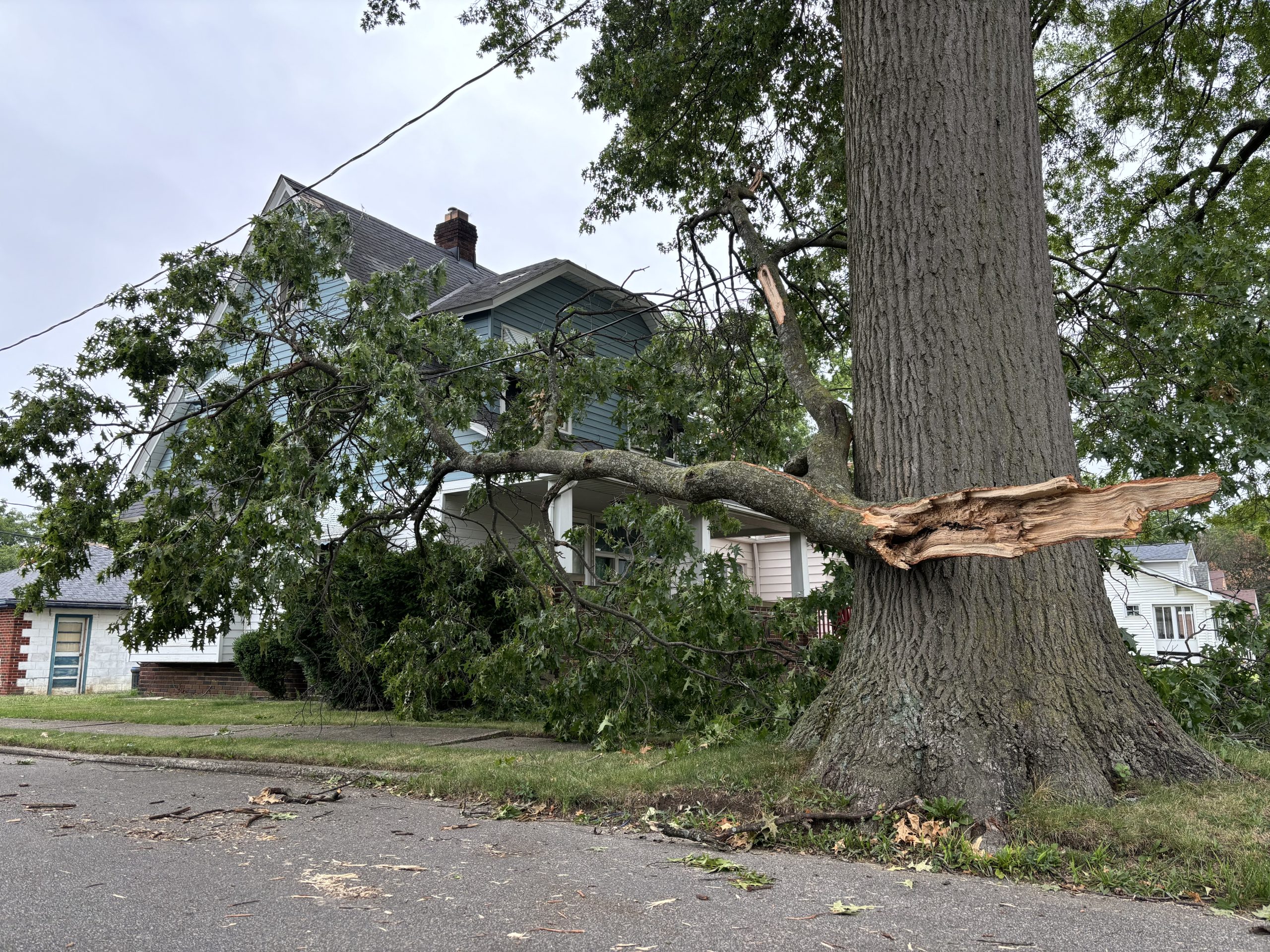 Power's out: Storm clean-up resources for Clevelanders
