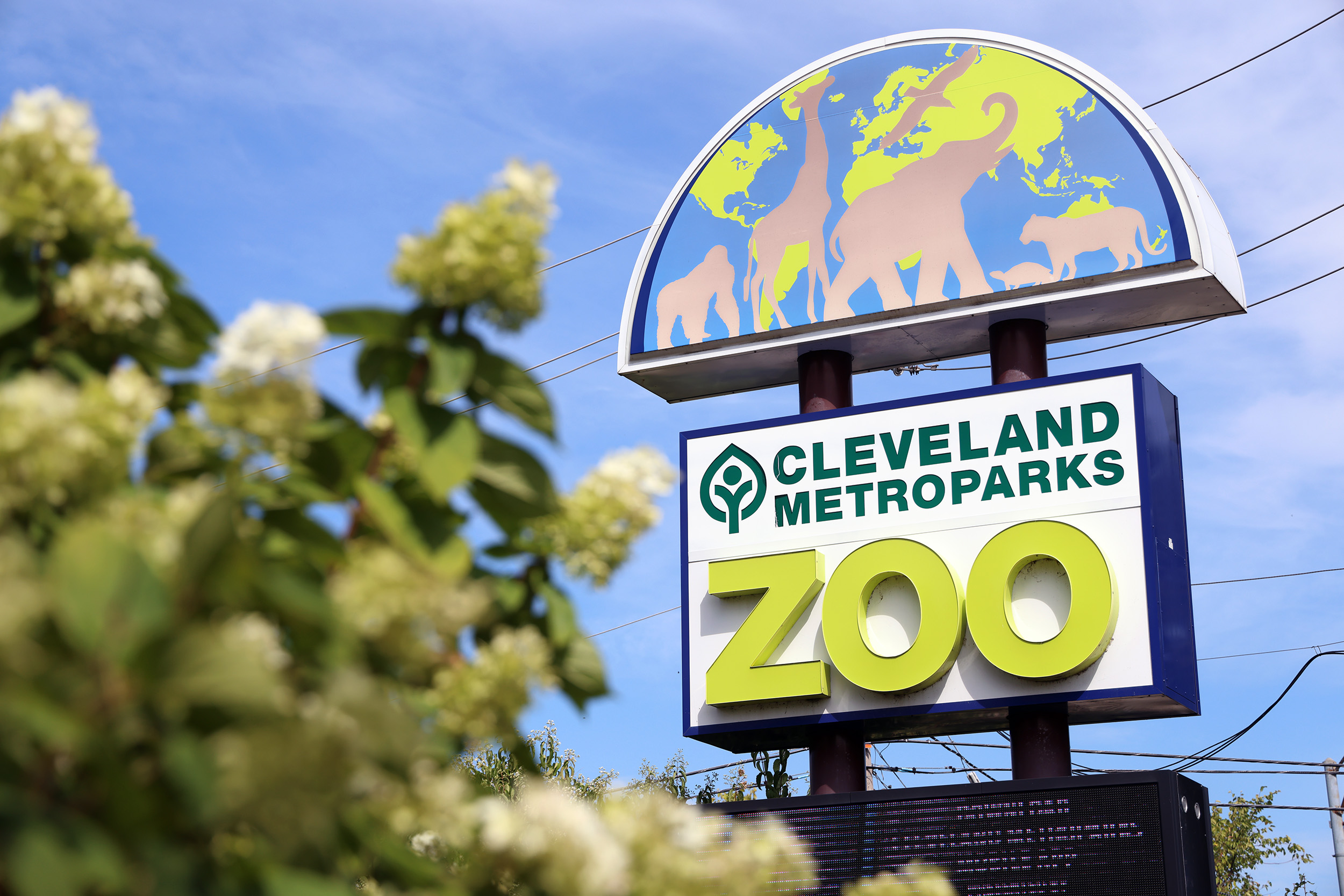 Cold winter and spring chill Metroparks revenues