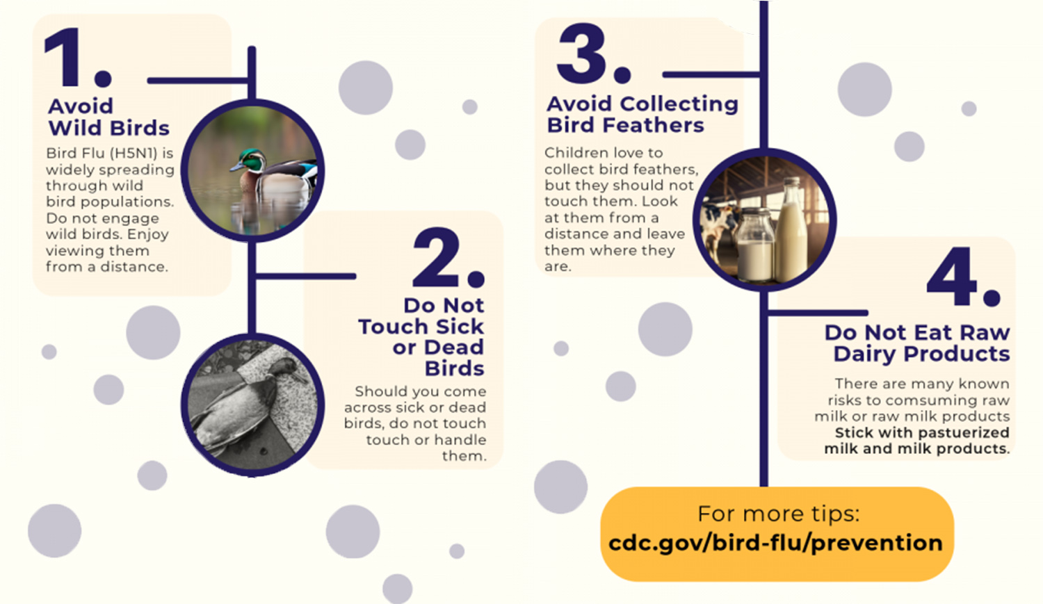 Bird flu in Ohio — here’s what you need to know - Signal Cleveland